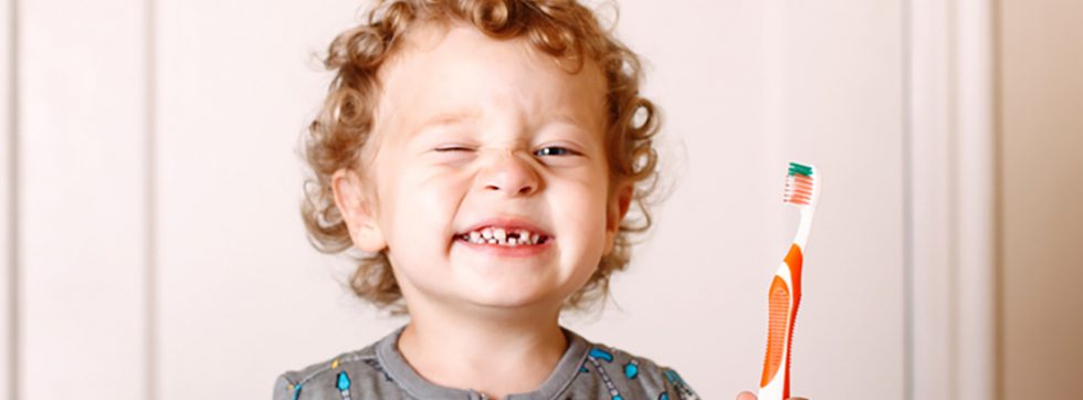 Dentición: Formación de los dientes - canalSALUD