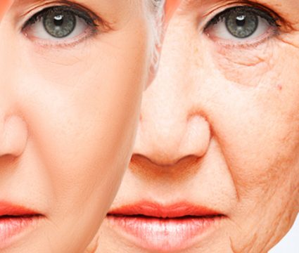 Qué Es La Vejez? ¿Qué Tres Fases De La Vejez Encontramos, 53% OFF