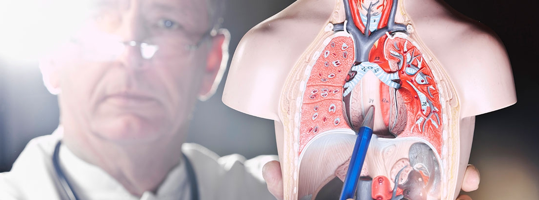 Esofagitis: síntomas, tratamiento, diagnóstico y más - canalSALUD