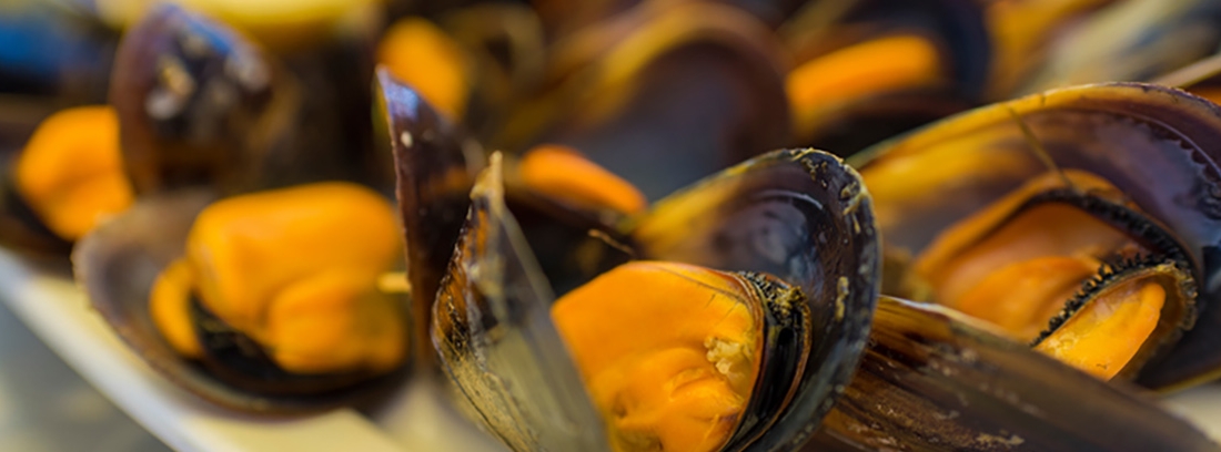 Moluscos: propiedades y nutrienties - canalSALUD