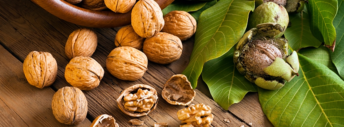 Nuez, ese pequeño gran alimento - canalSALUD