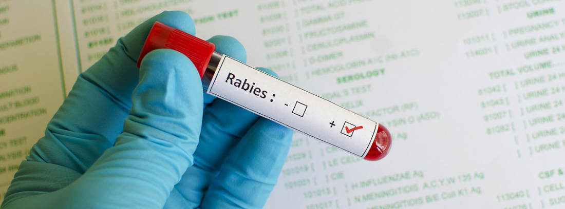 ¿Qué es la rabia y cómo se trasmite? -canalSALUD