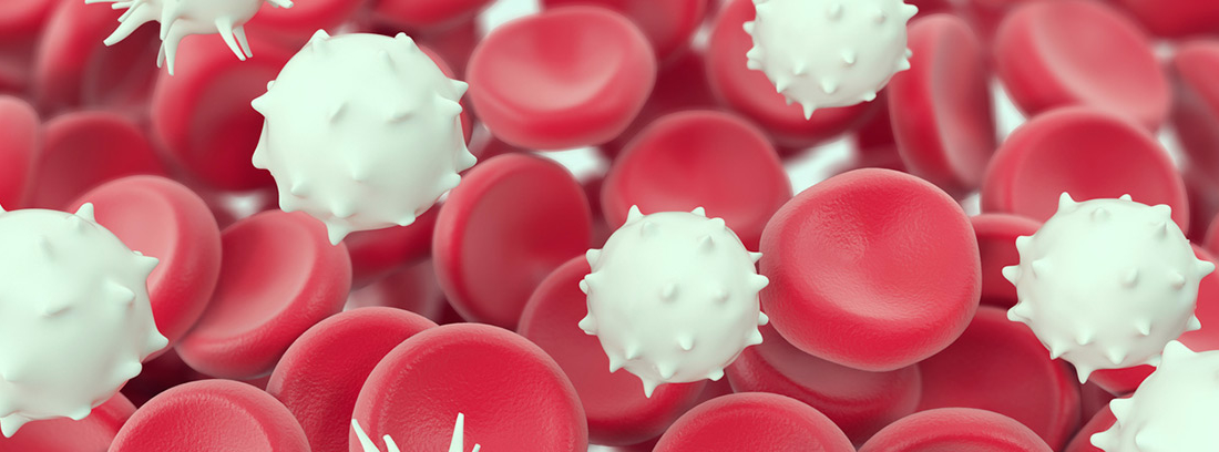 ¿Cuáles son los valores normales de leucocitos? -canalSALUD