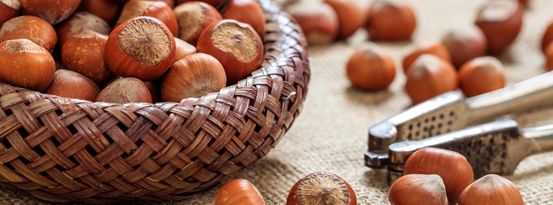 Propiedades y beneficios de las avellanas –canalSALUD