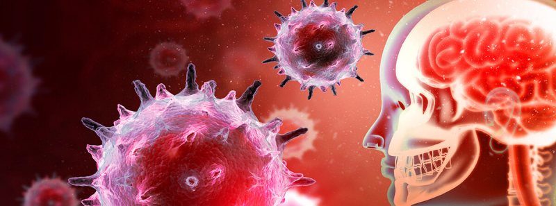 ¿Qué es la meningitis y sus tipos? -canalSALUD