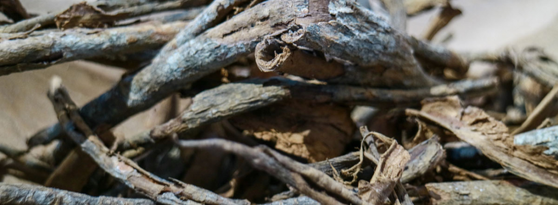 ¿Qué es y para qué sirve la quinina? - Blogs MAPFRE