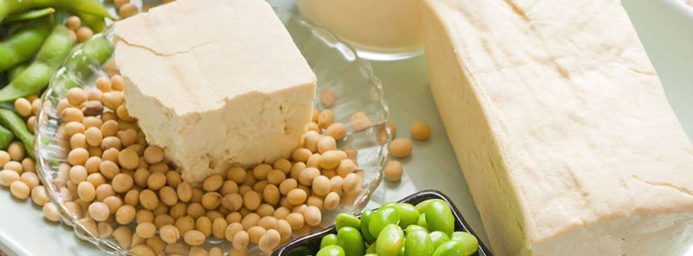 ¿Qué son los fitoestrógenos y que tipos existen? -canalSALUD