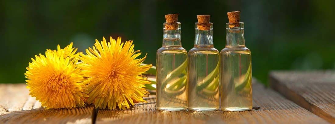 Diente de león: para qué sirve y cómo tomarlo - Blogs MAPFRE