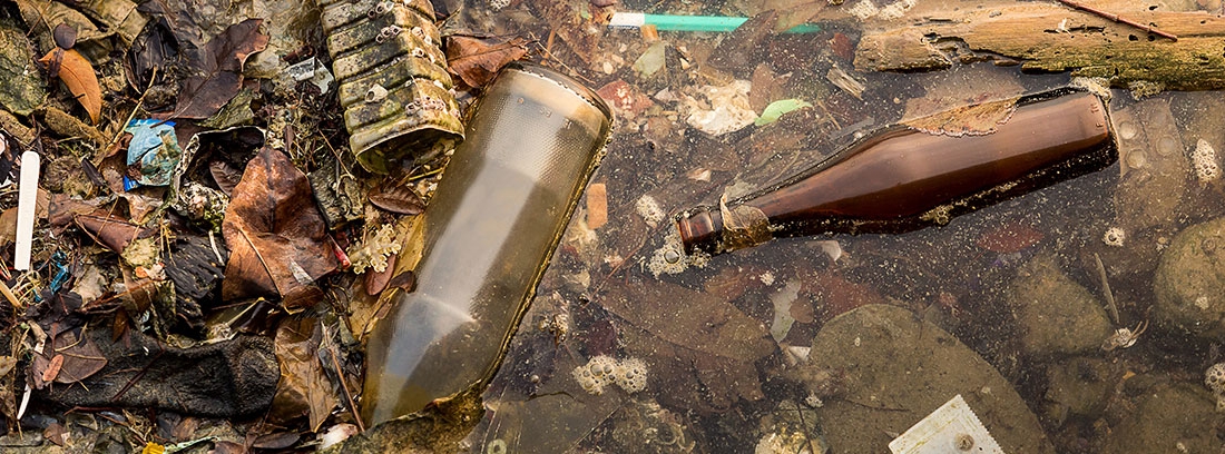 Dracontiasis o enfermedad del gusano - canalSALUD