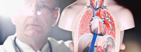 Esofagitis: síntomas, tratamiento, diagnóstico y más - canalSALUD