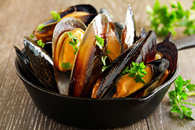 moluscos - canalSALUD