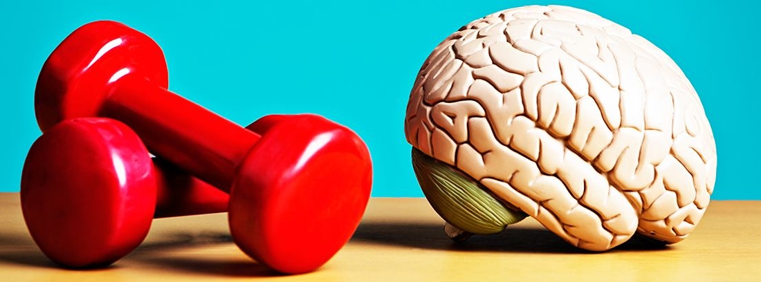¿Hacer ejercicio es bueno para ejercitar el cerebro? - canalSalud