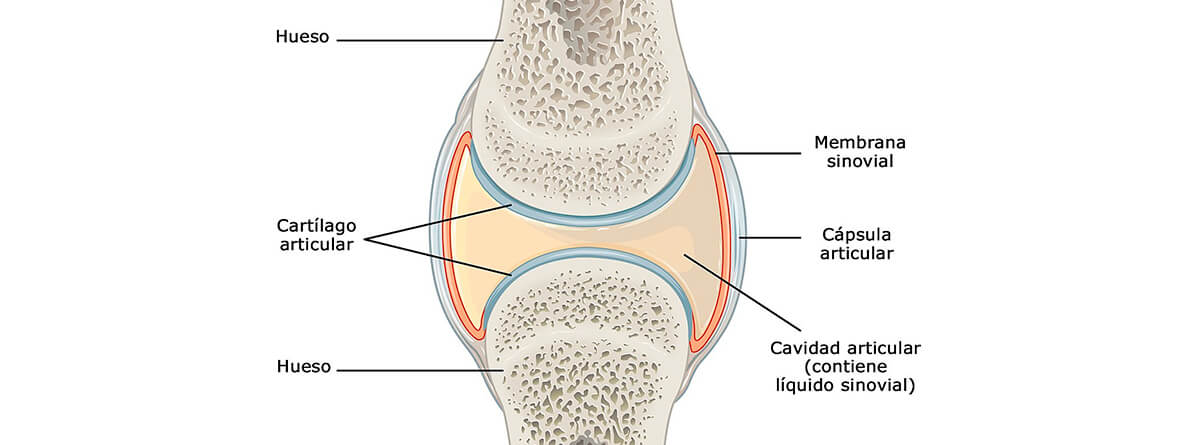 Capsulitis articular de los dedos - Blogs MAPFRE
