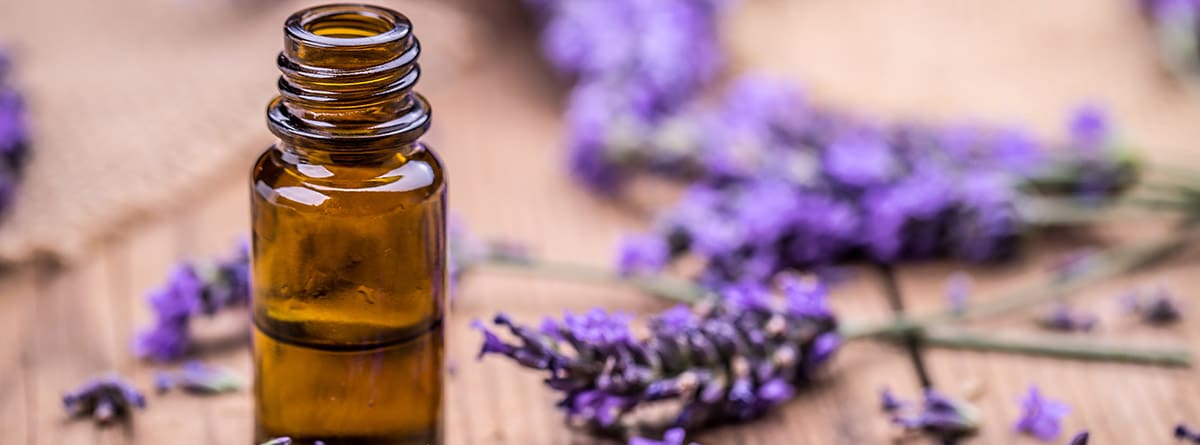 Propiedades y beneficios de la lavanda - Blogs MAPFRE