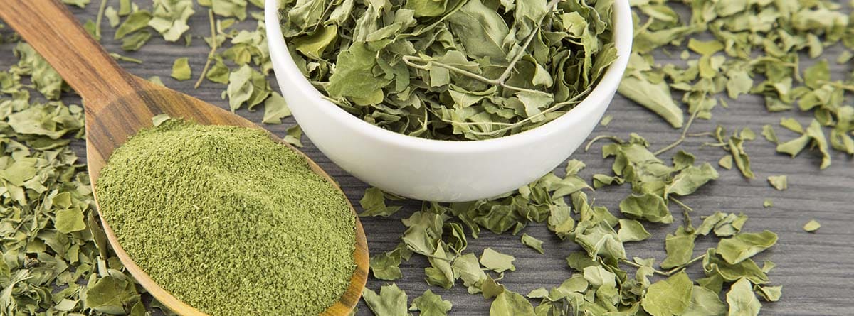 Qué es la moringa y cuáles son sus beneficios - Blogs MAPFRE